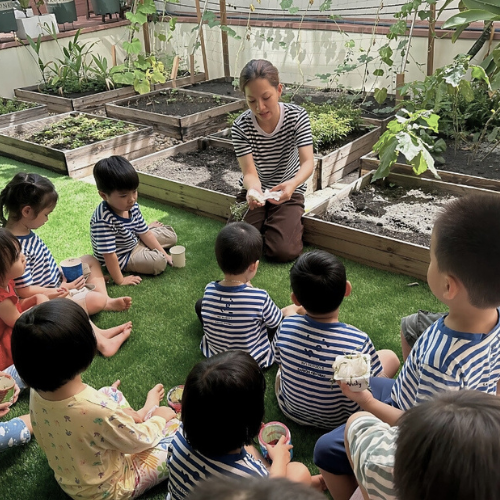 Why Active Participation is important in Early Childhood Education?