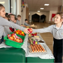 What does Project-Based Learning mean in Kindergarten Education?